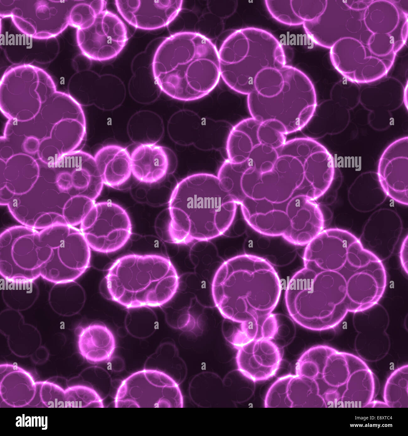 Membrane cell microscopy hi-res stock photography and images - Alamy