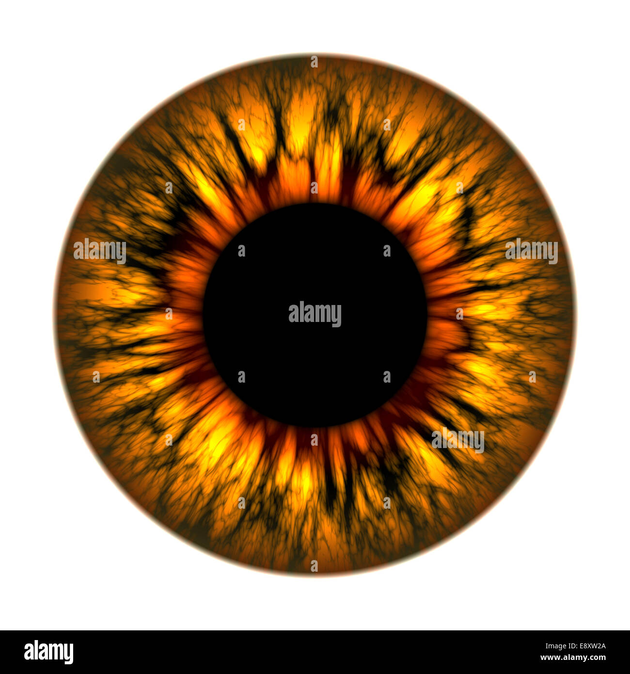Eye pupil dilated hi-res stock photography and images - Alamy