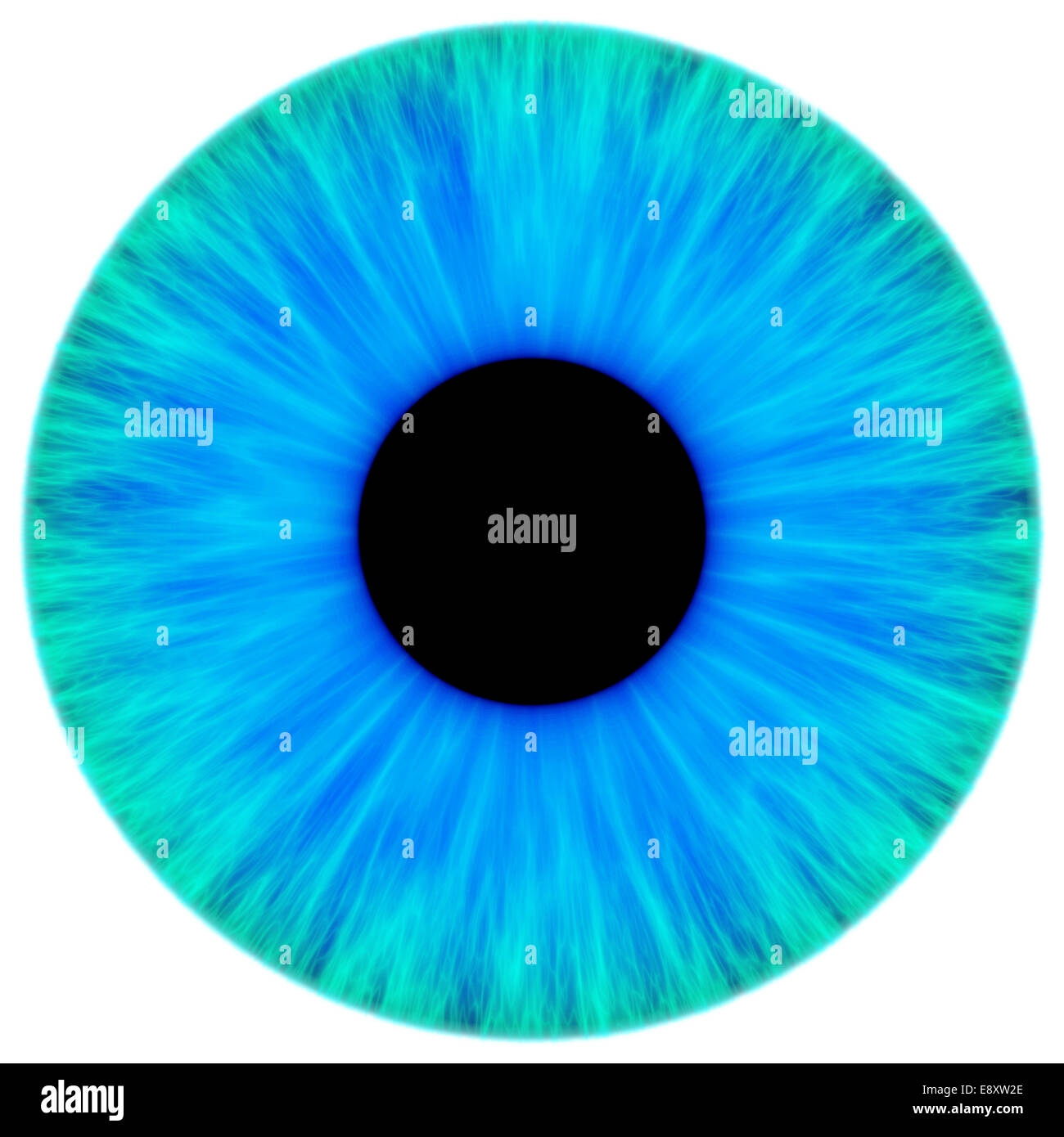 Big blue iris hi-res stock photography and images - Alamy