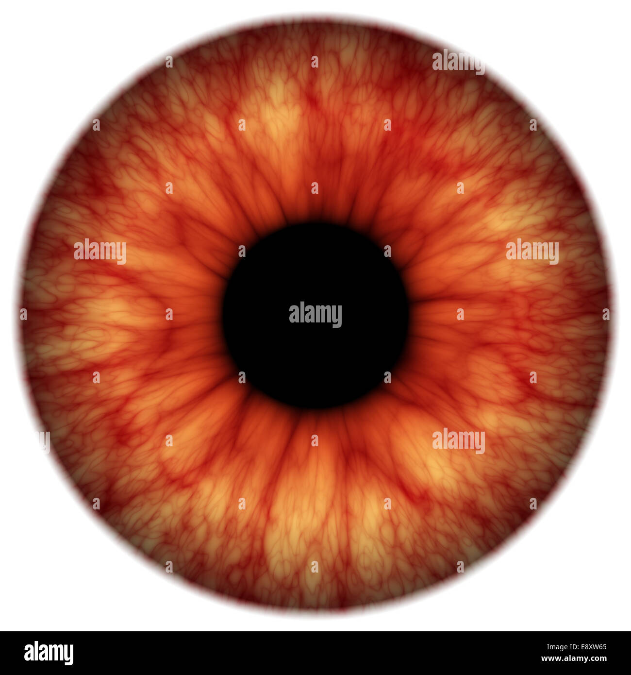 Dilated Iris Of An Eye Cut Out Stock Images & Pictures - Alamy