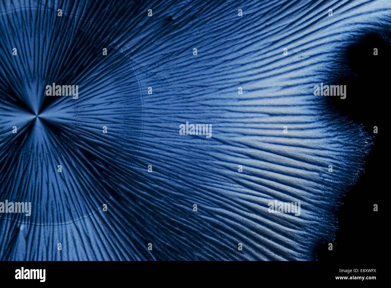Microcrystals hi-res stock photography and images - Alamy