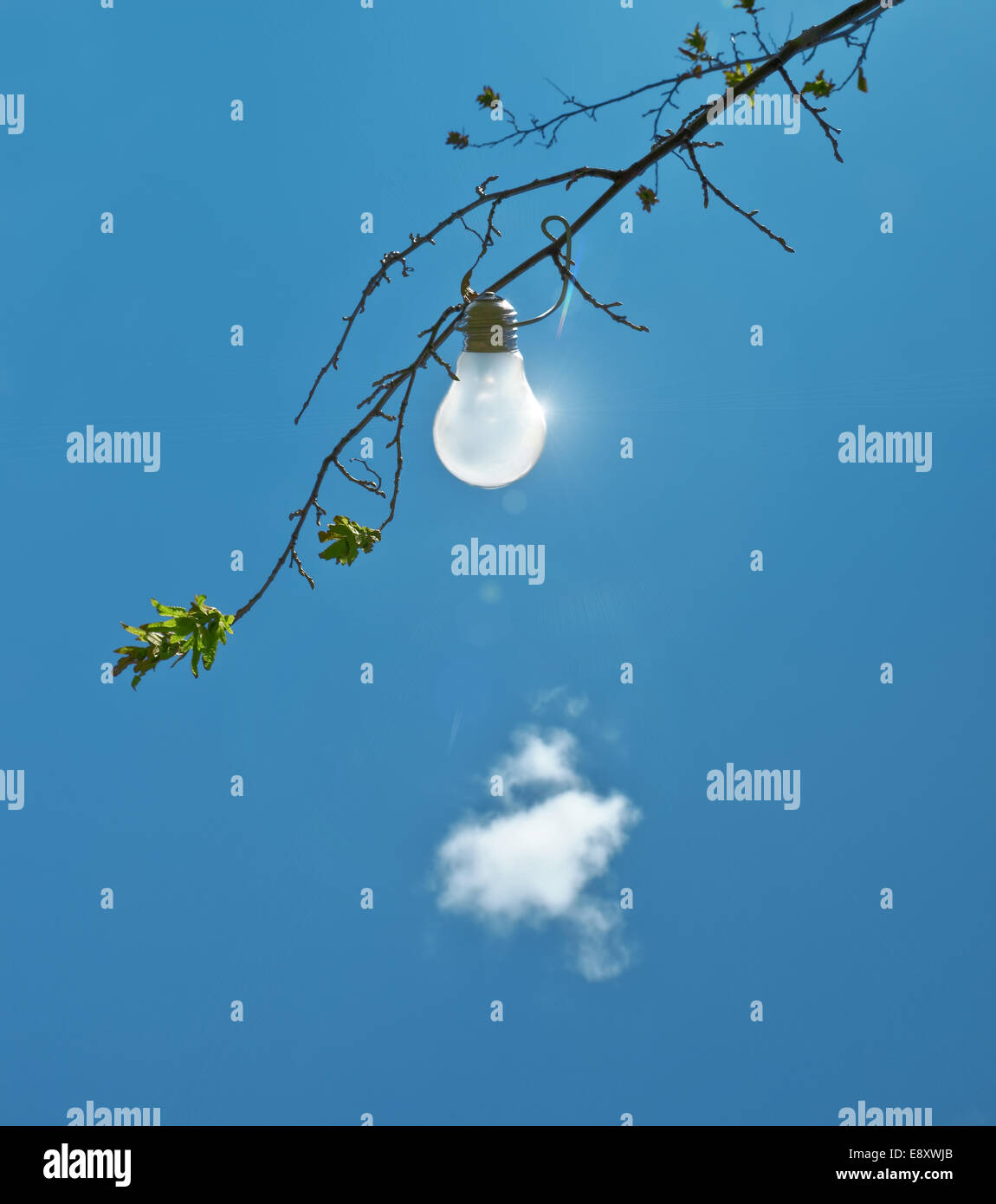 light bulb in a tree Stock Photo - Alamy