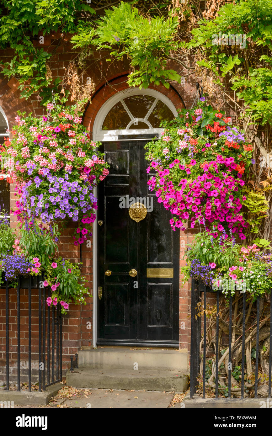 Flowers around the door hi-res stock photography and images - Alamy