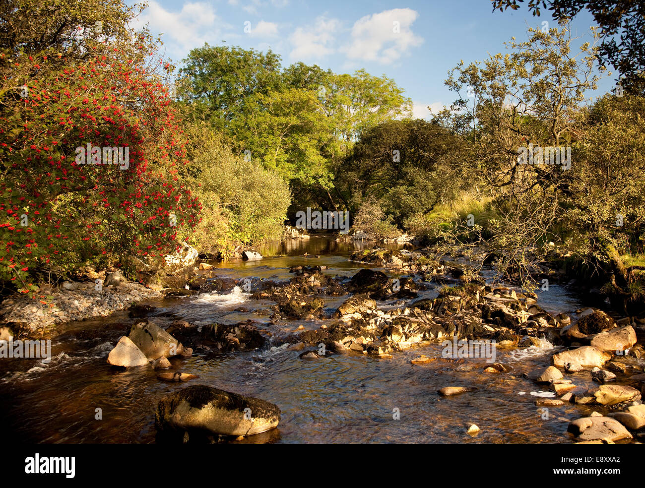 Boulders In River Bed High Resolution Stock Photography and Images - Alamy
