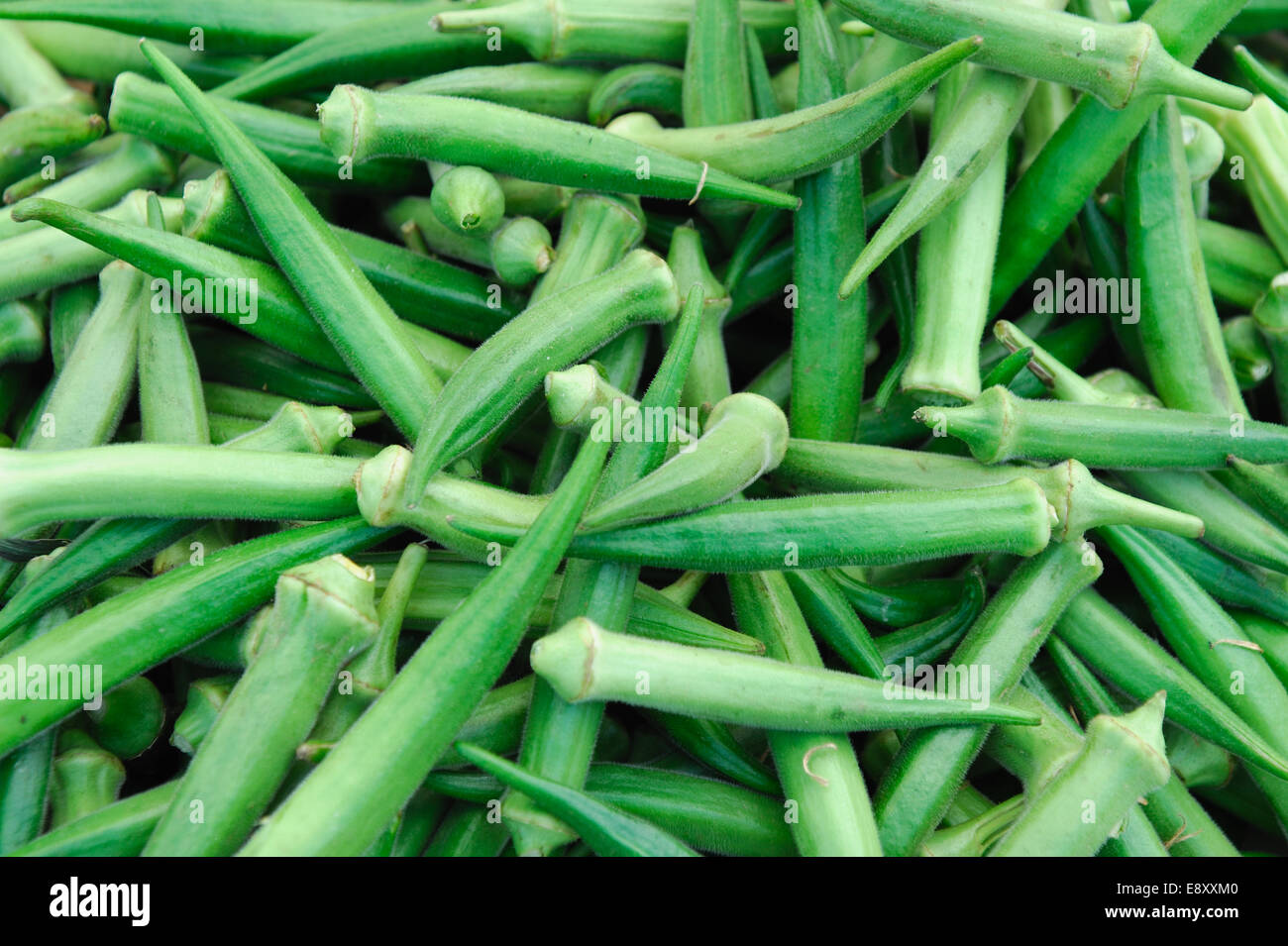 Green okra pods hi-res stock photography and images - Alamy