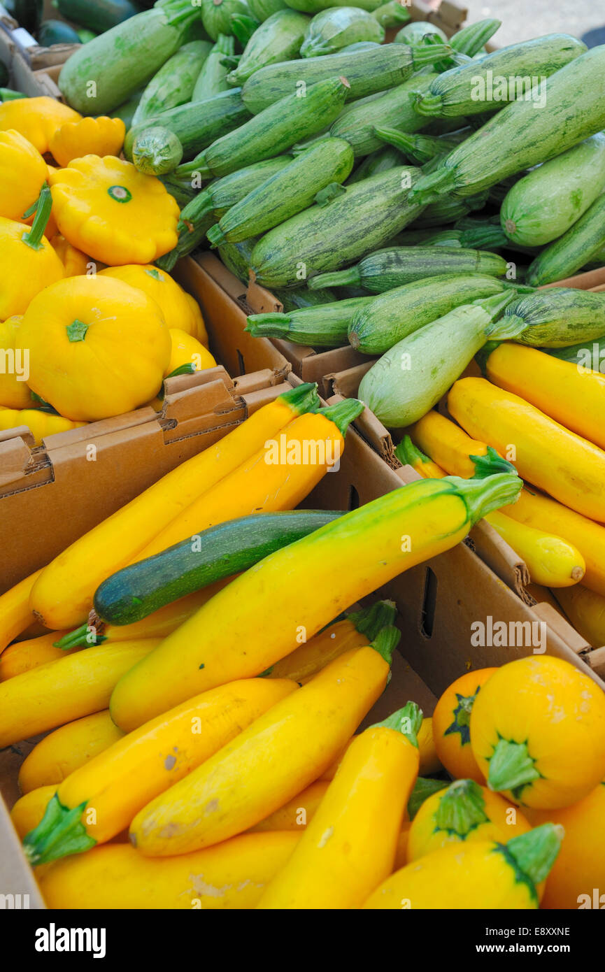 Summer yellow squash hi-res stock photography and images - Alamy