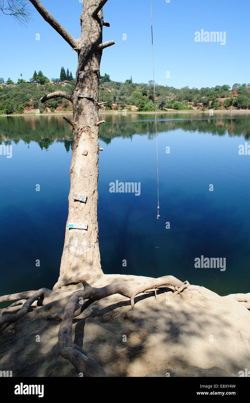 Rope swing into water hi-res stock photography and images - Alamy
