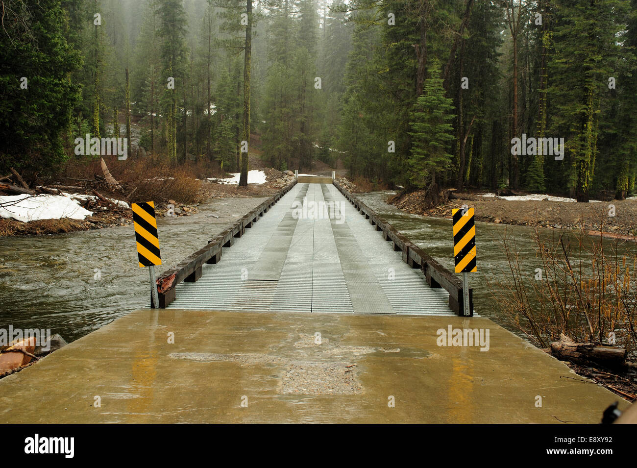 Forest River Crossing Stock Photo - Alamy