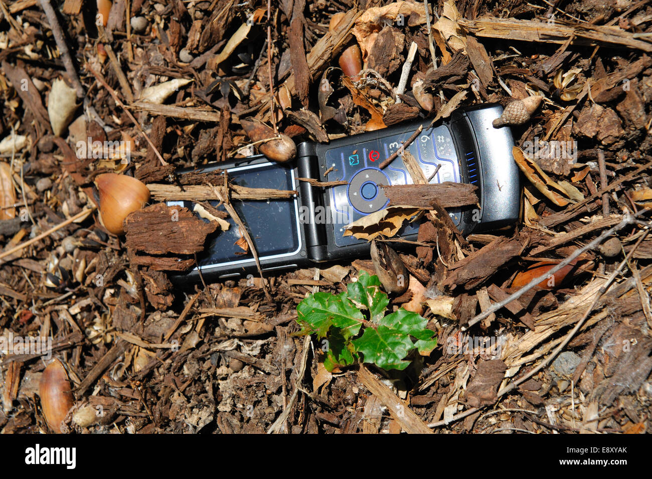 Dropped Cell Phone Stock Photo - Alamy