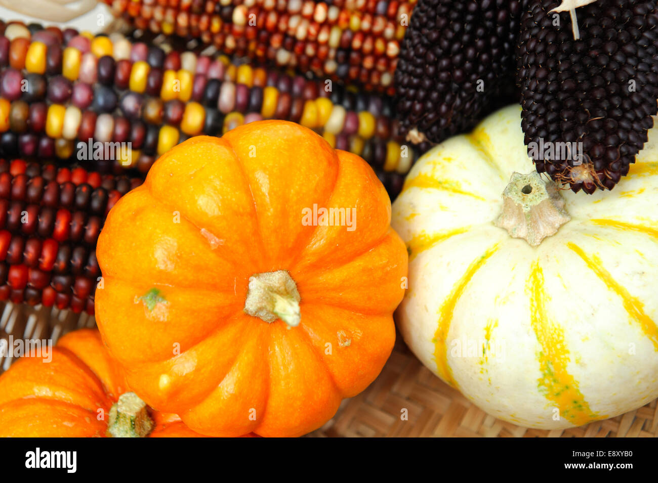 Indian Corn And Small Pumpkins Stock Photo - Alamy
