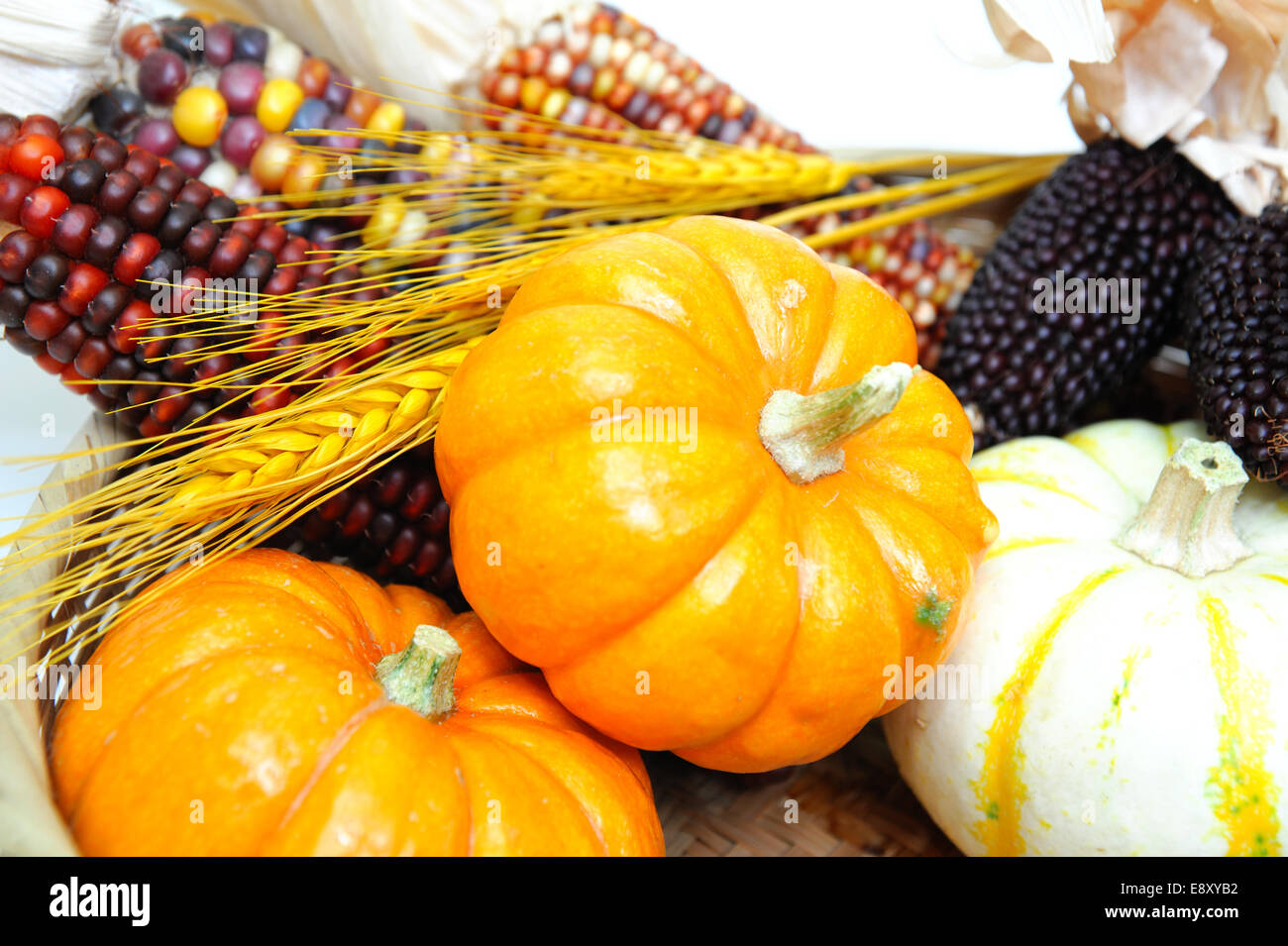 Pumpkins And Indian Corn Stock Photo - Alamy