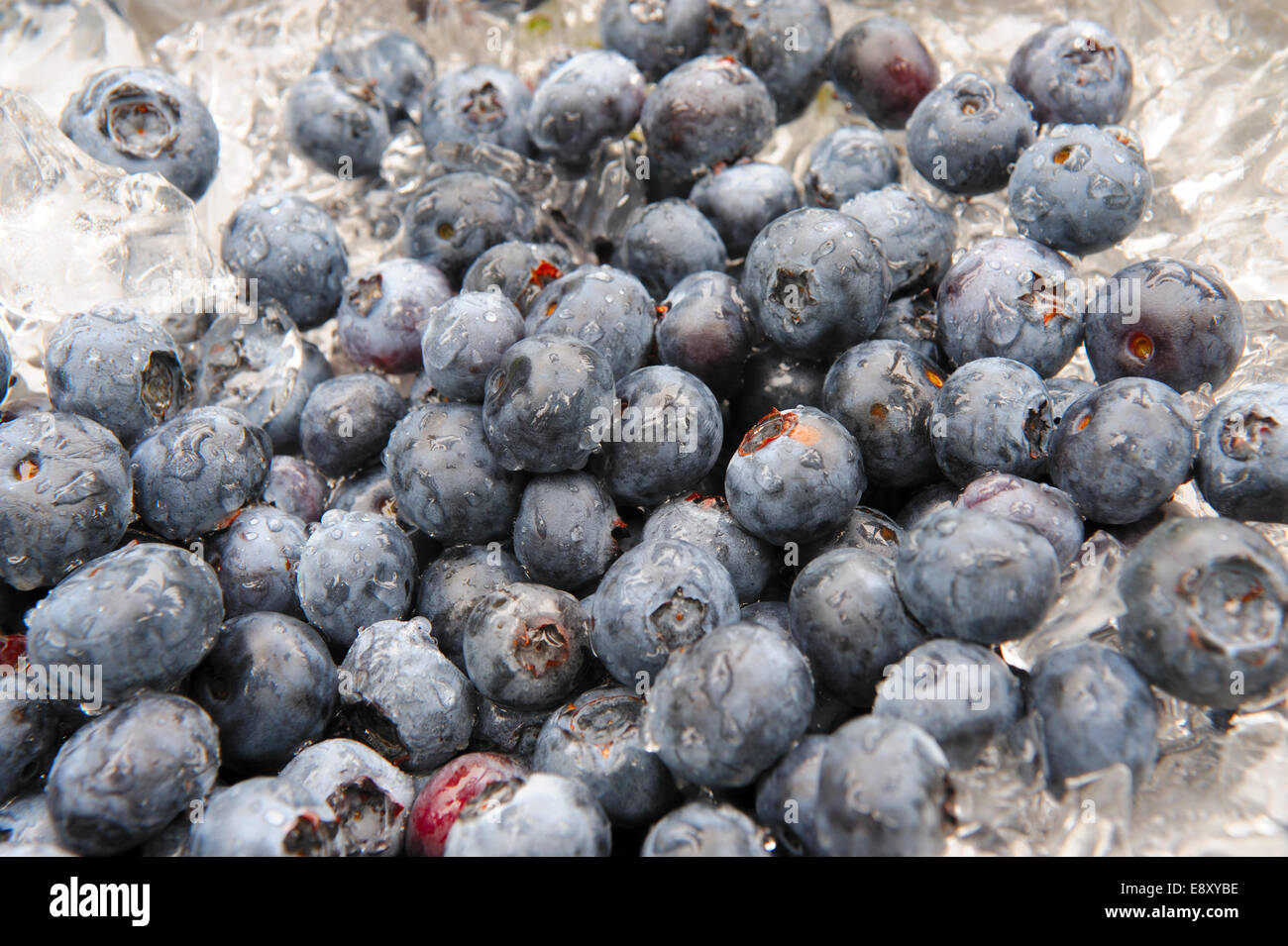 Cold and chilling hi-res stock photography and images - Alamy
