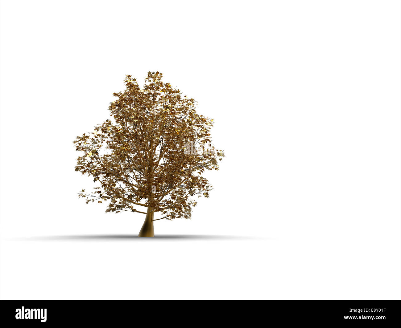 golden tree isolated on white background Stock Photo - Alamy