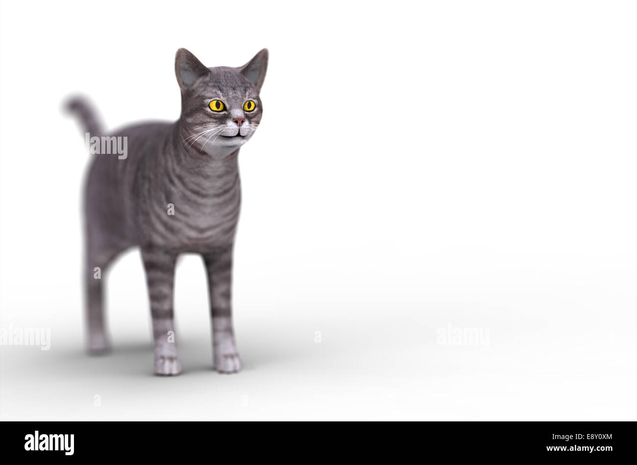 3d grey cat Stock Photo - Alamy