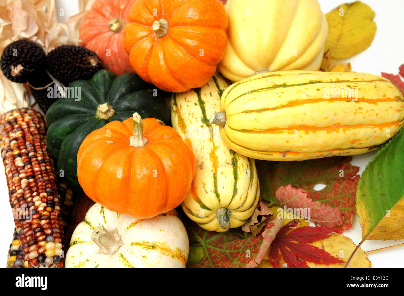 Fall vegetables hi-res stock photography and images - Alamy