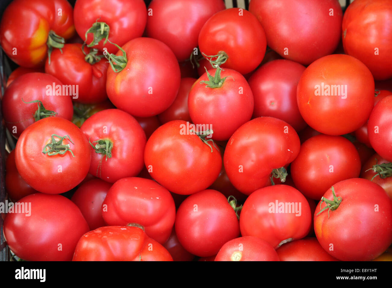 Background of tomato Stock Photo - Alamy