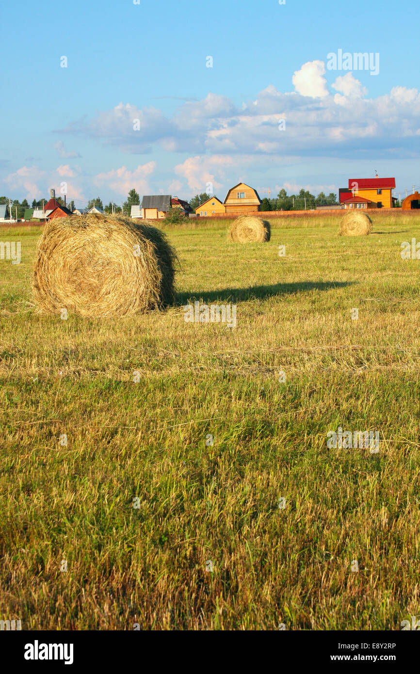 Hay rolls in the field in front of village Stock Photo - Alamy