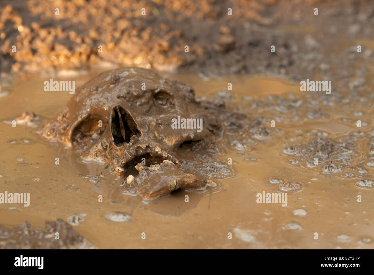 Decomposing Human Body High Resolution Stock Photography and Images - Alamy