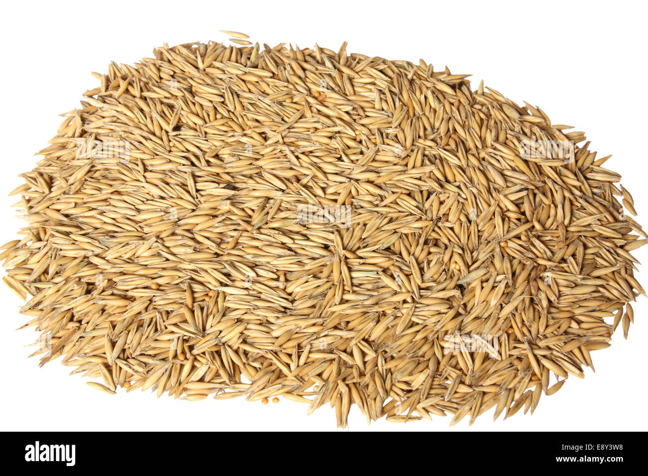 Oats (whole groats Stock Photo - Alamy
