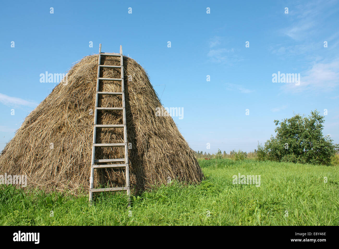 Hay haystack stack ladder hi-res stock photography and images - Alamy