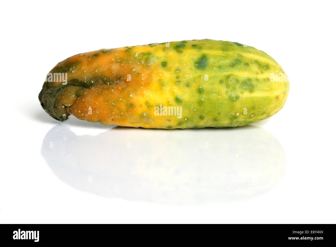Rotten cucumber Cut Out Stock Images & Pictures - Alamy