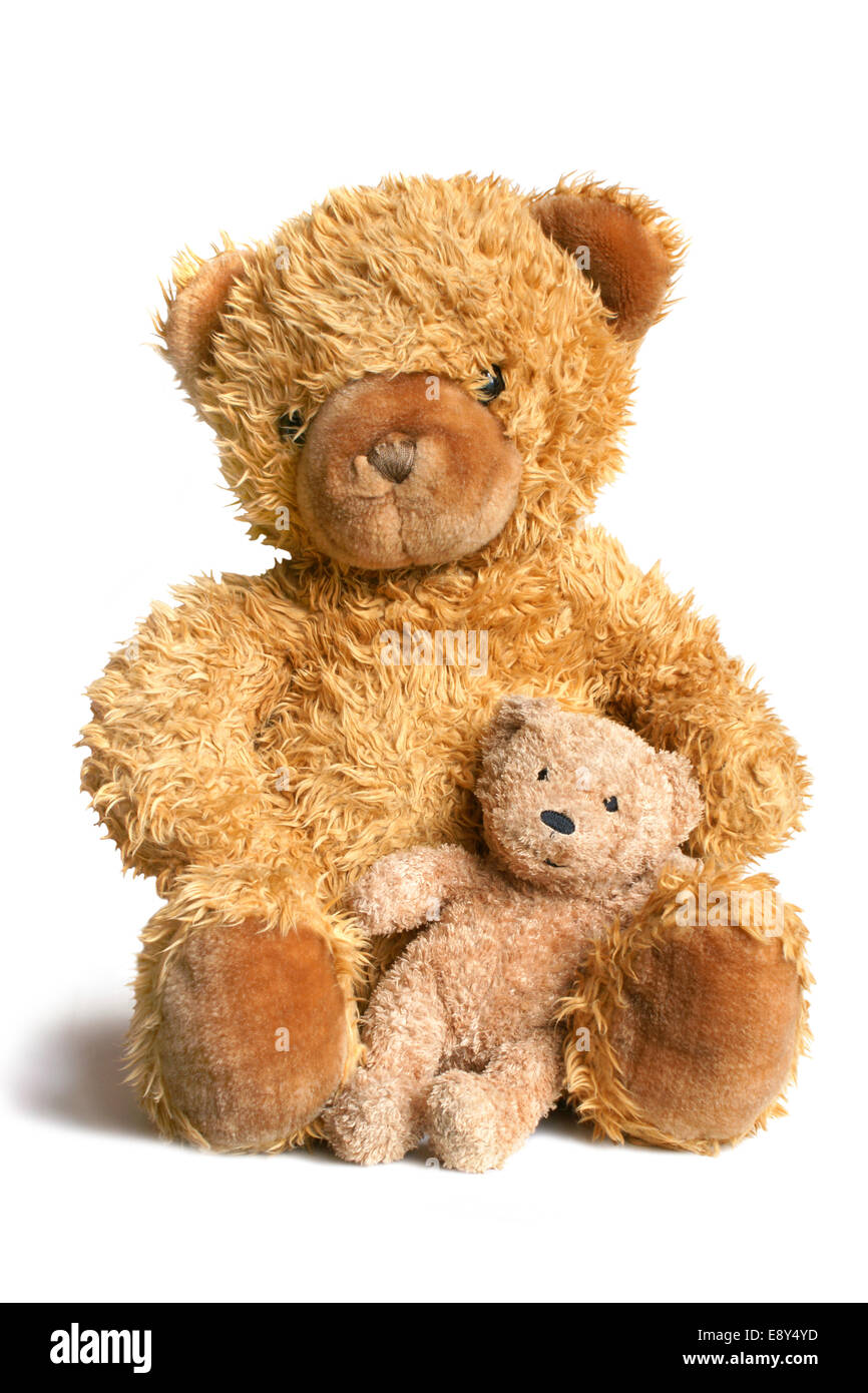 Big bear with bear cub Stock Photo - Alamy