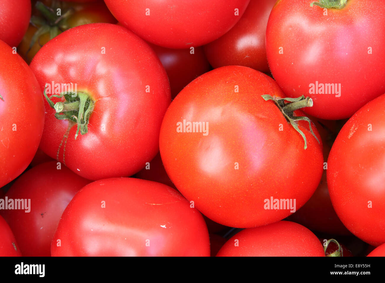 Background of tomato. Close-up Stock Photo - Alamy