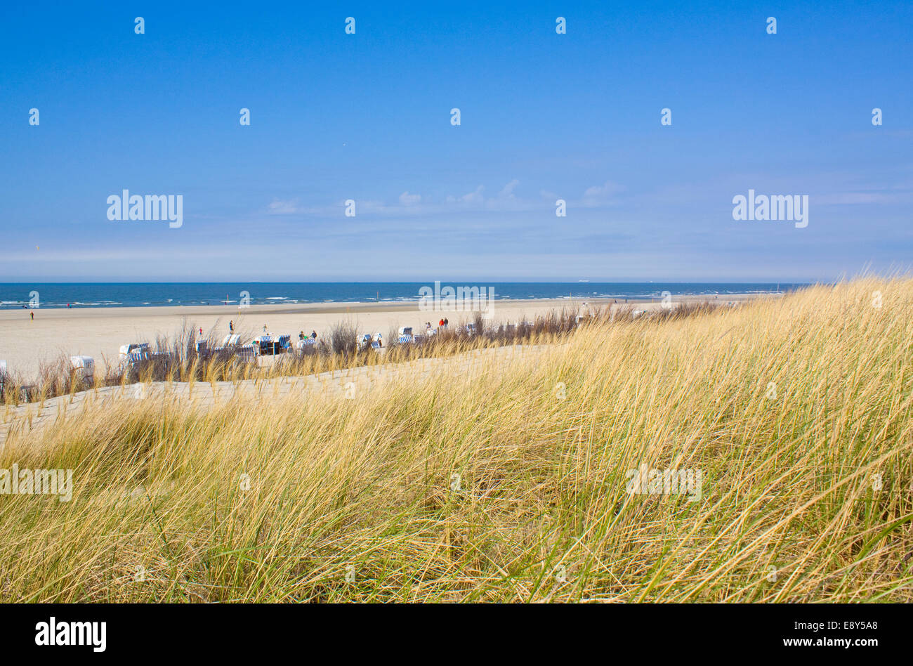 Idyllic day in the North Sea in summer Stock Photo - Alamy
