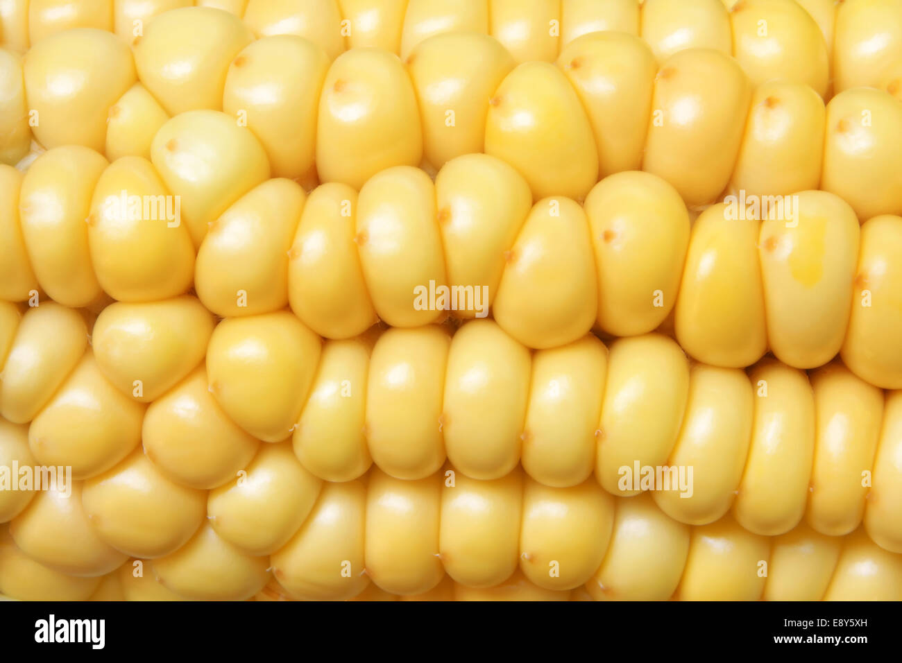 Whole maize hi-res stock photography and images - Alamy