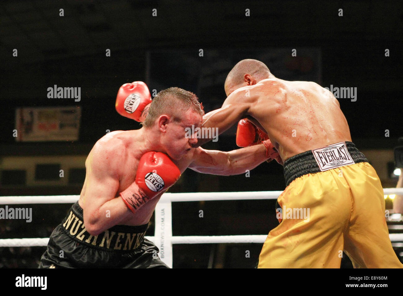 Competition action challenge boxing glove combative sport boxing ...