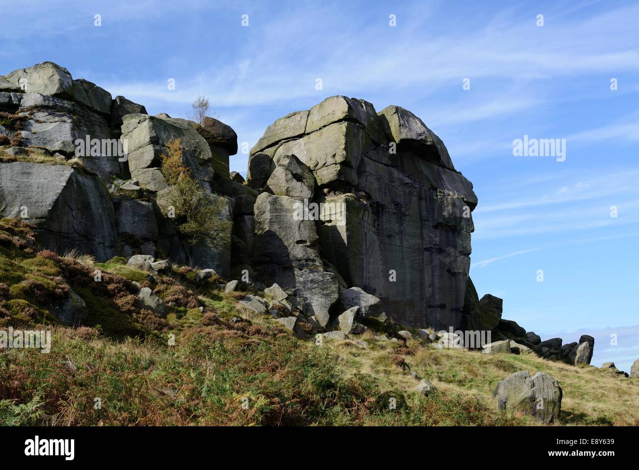 Cow and calf rocks hi-res stock photography and images - Alamy