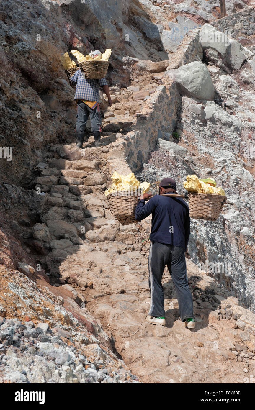 Sulphur carriers climbing out of Kawah Ijen volcano (Ijen crater ...