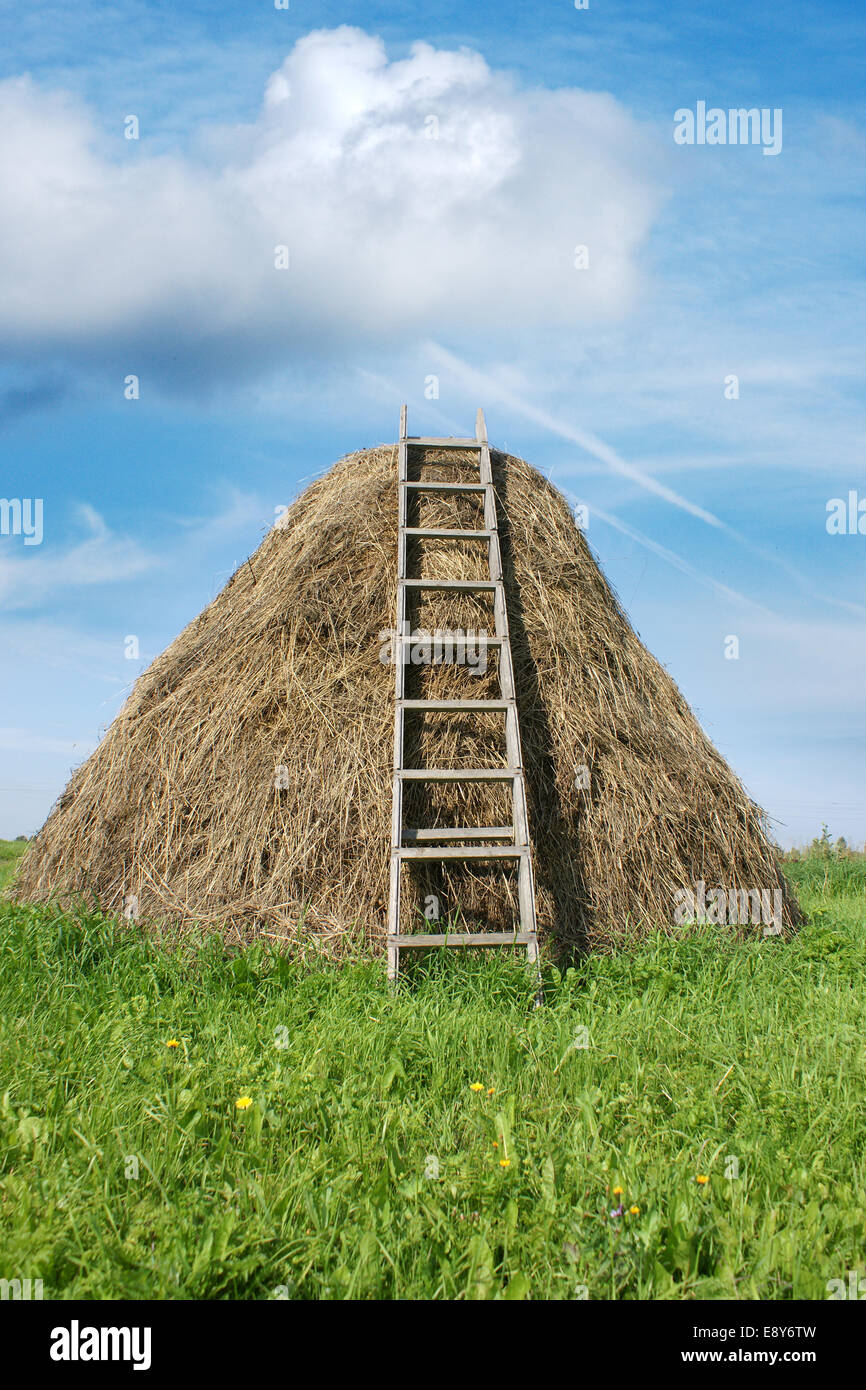Hay haystack stack ladder hi-res stock photography and images - Alamy