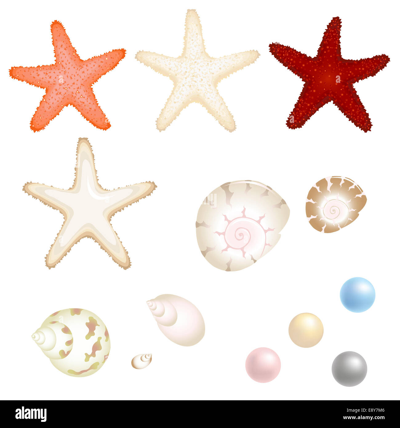 Set sea ocean coral Cut Out Stock Images & Pictures - Alamy