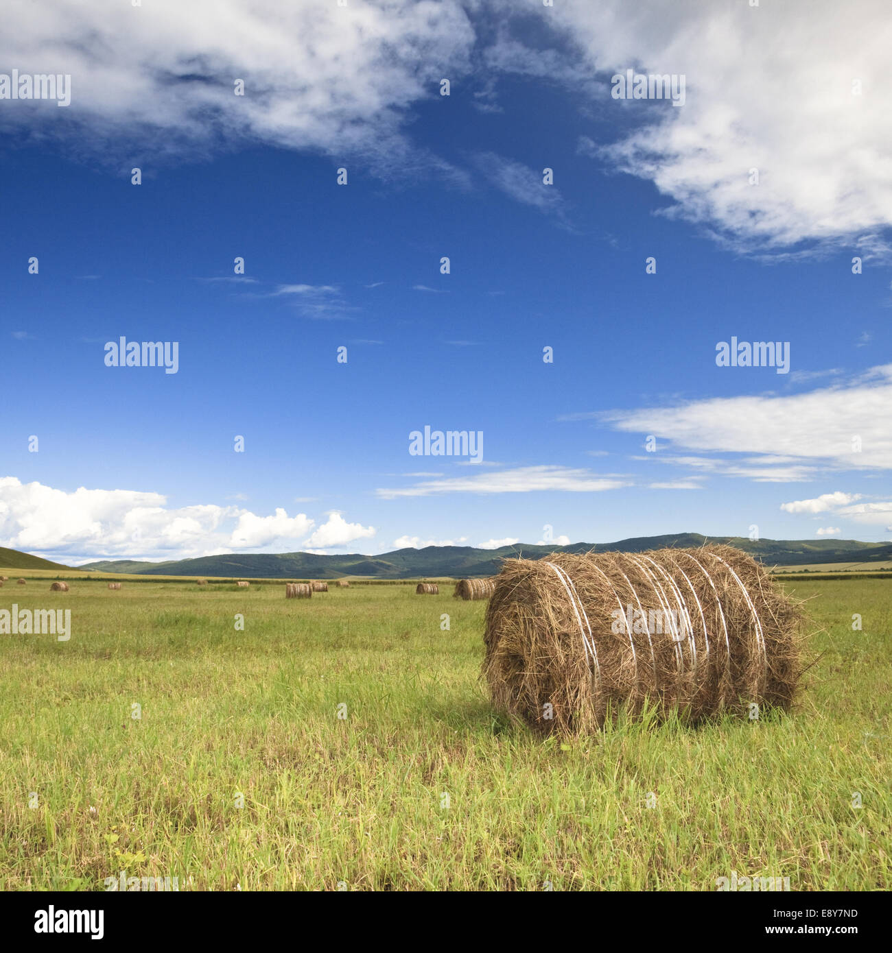 Mongolia countryside hi-res stock photography and images - Alamy
