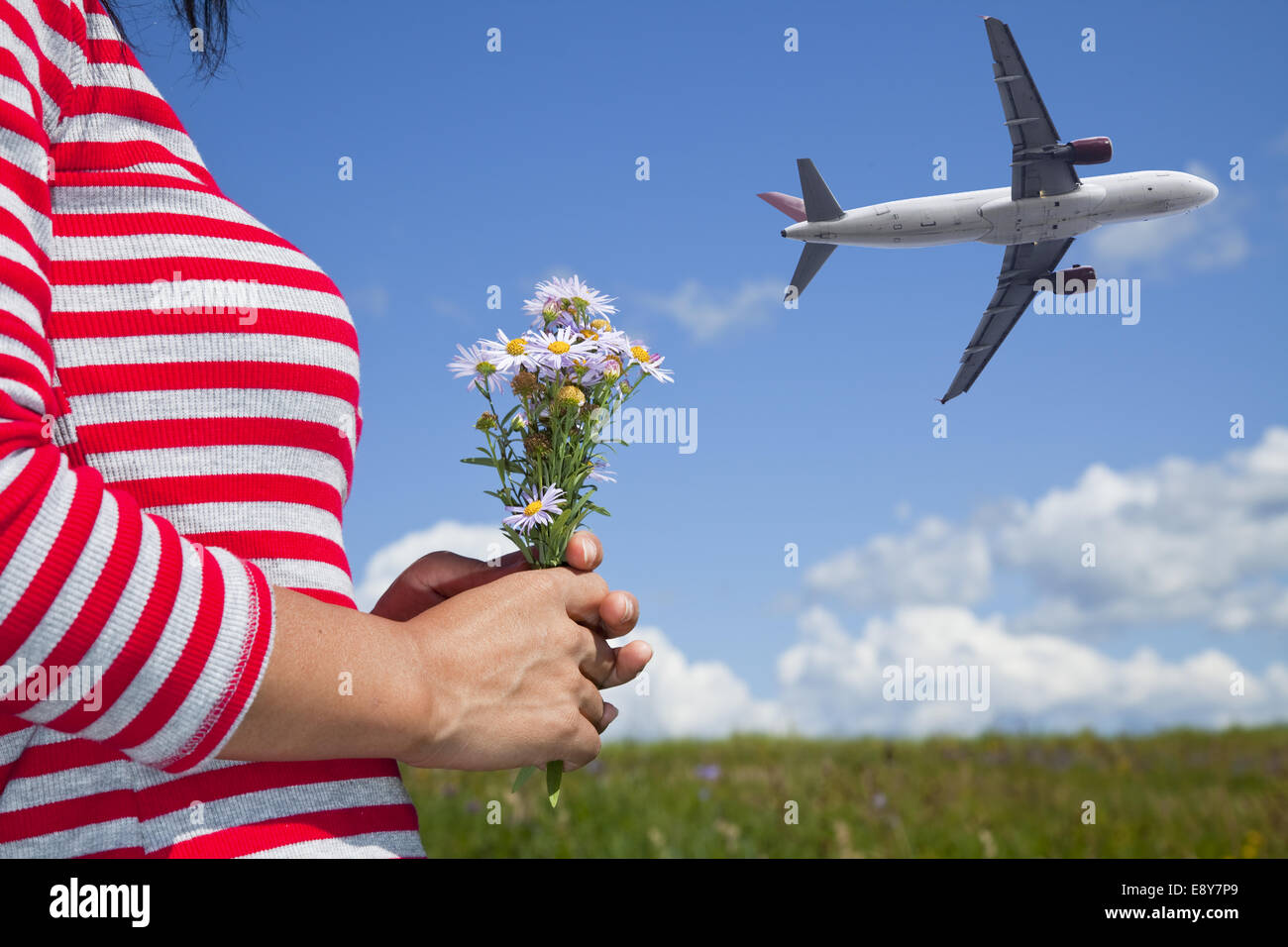 airplane and flower Stock Photo - Alamy
