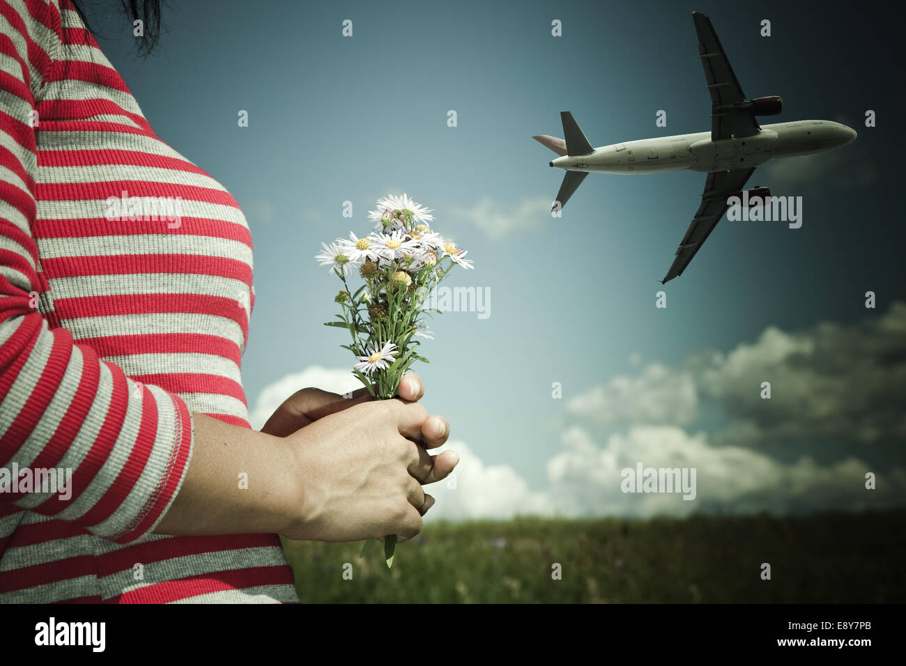 airplane and flower Stock Photo - Alamy