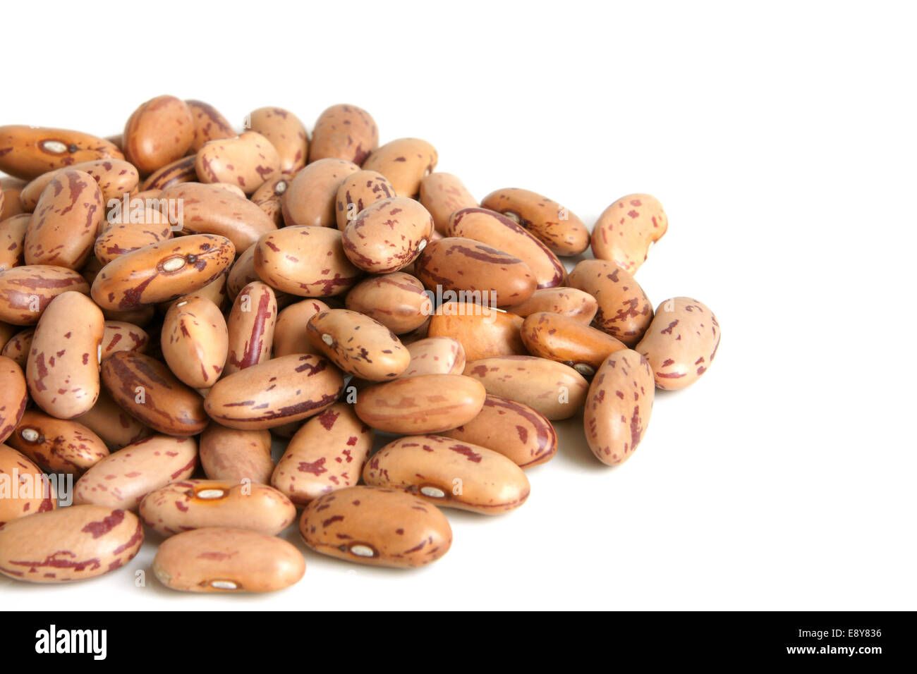 Germination haricot hi-res stock photography and images - Alamy