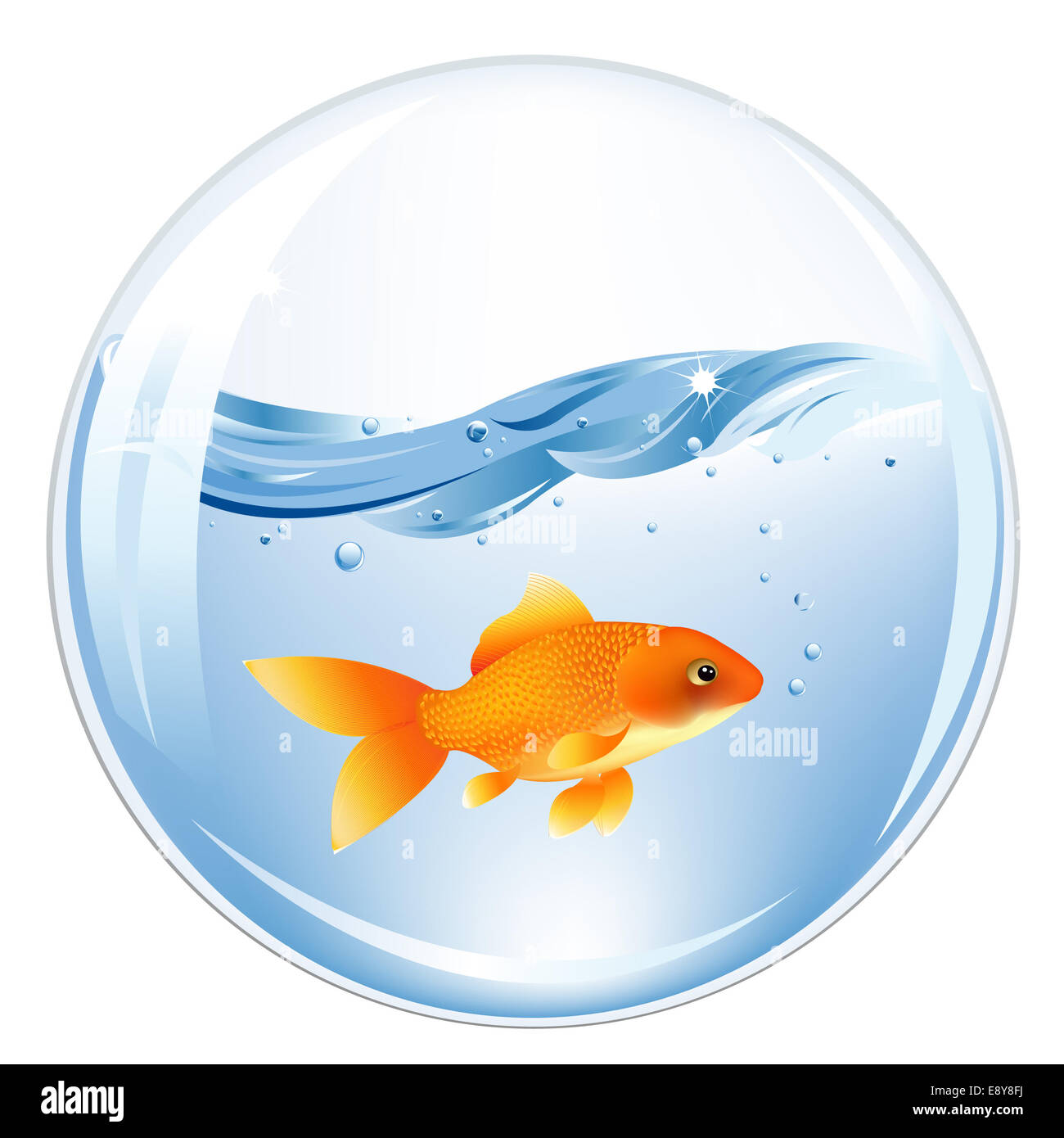 Goldfish water splash hi-res stock photography and images - Alamy