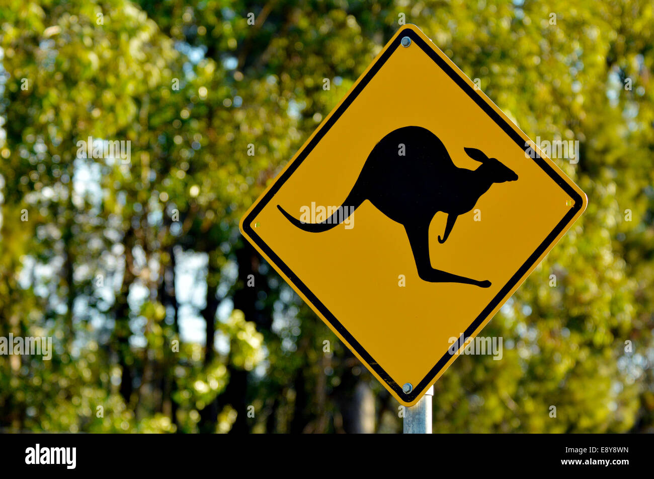 Australian Warning Road Sign Outback High Resolution Stock Photography ...