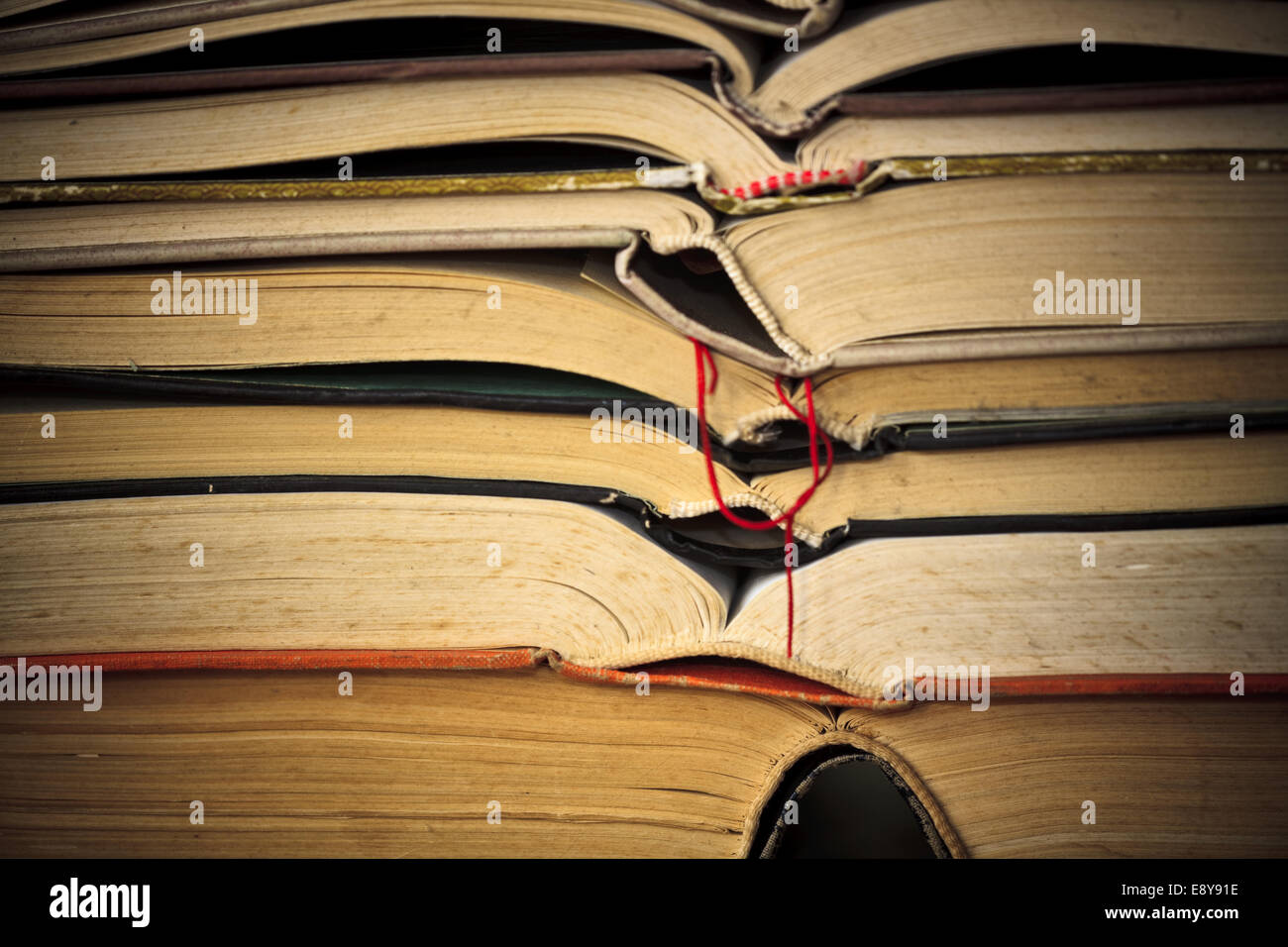 University of pisa library hi-res stock photography and images - Alamy