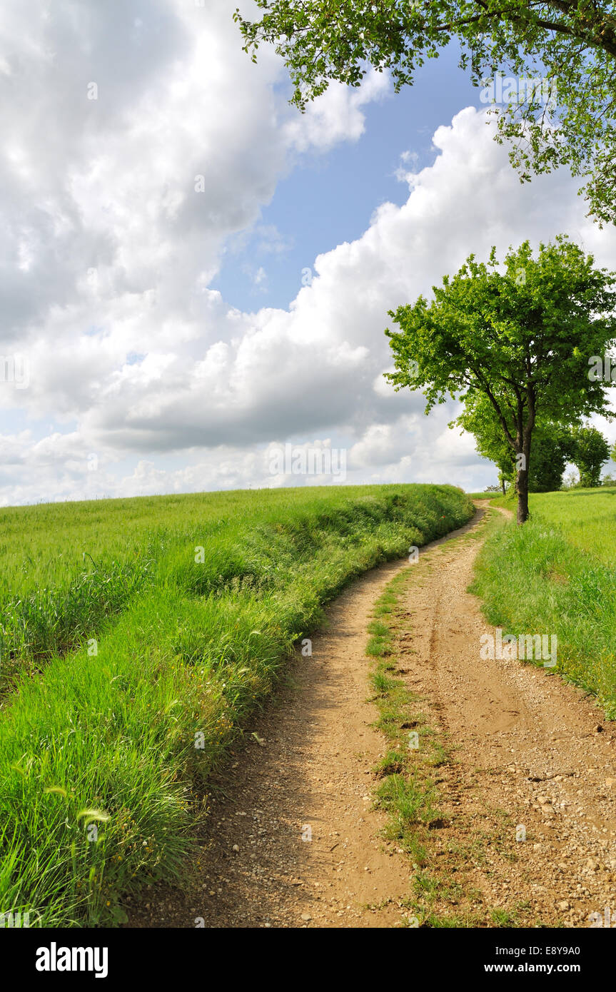 Tuscan path hi-res stock photography and images - Alamy