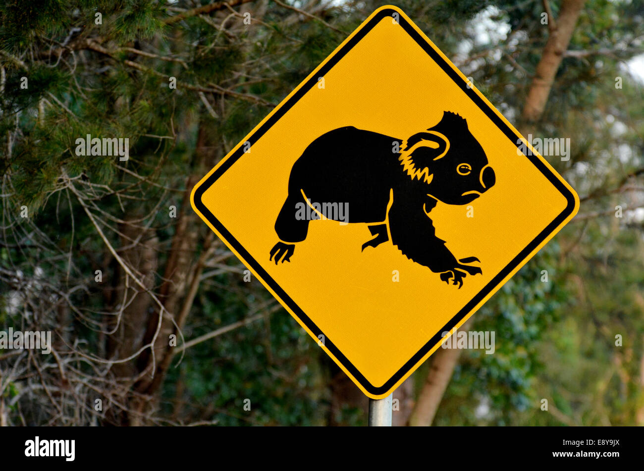Australian Warning Road Sign Outback High Resolution Stock Photography ...