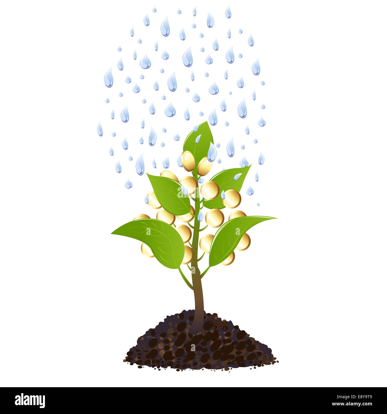 Sprout plant water drops Cut Out Stock Images & Pictures - Alamy