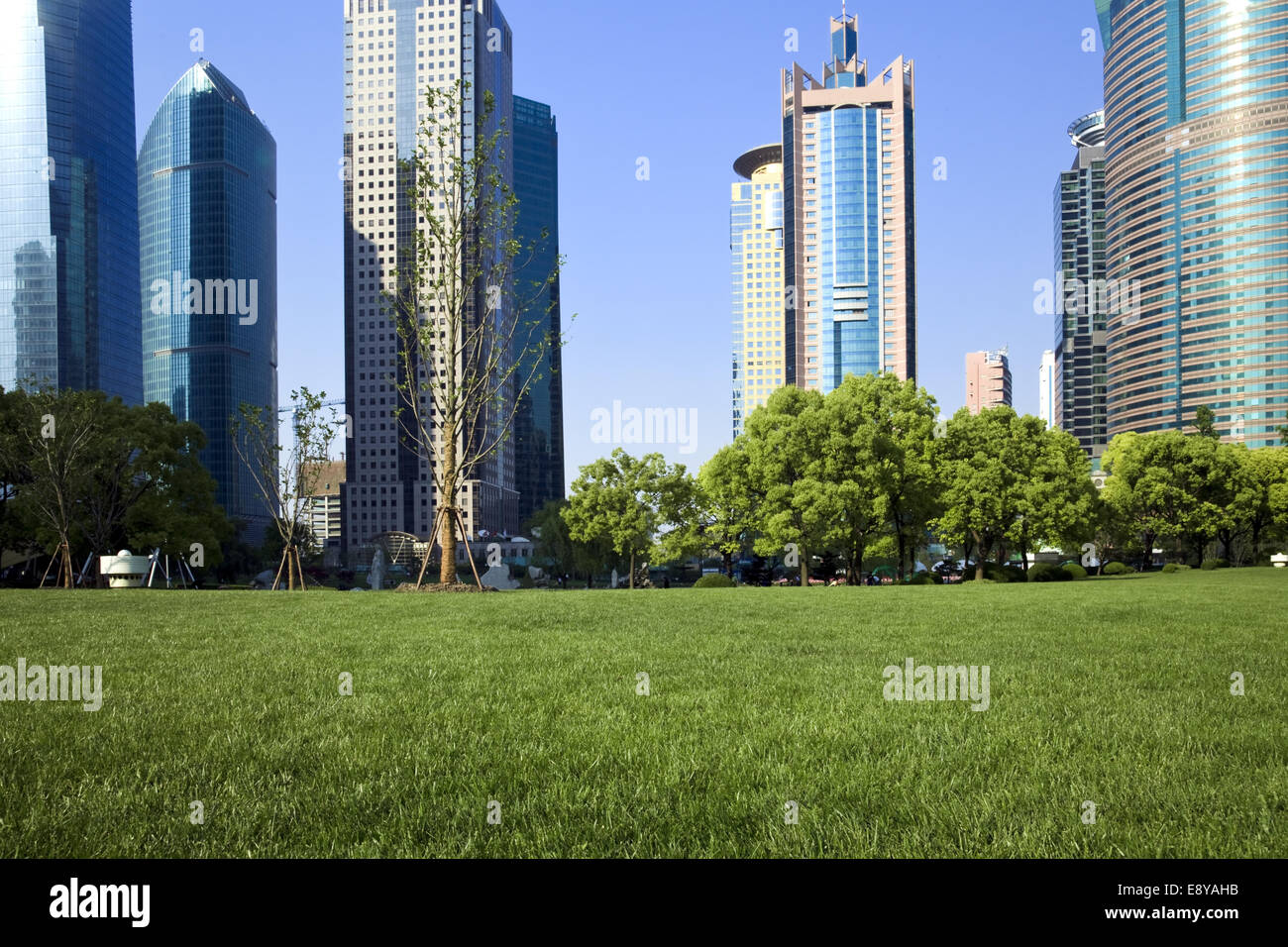 Shanghai architecture trees hi-res stock photography and images - Alamy