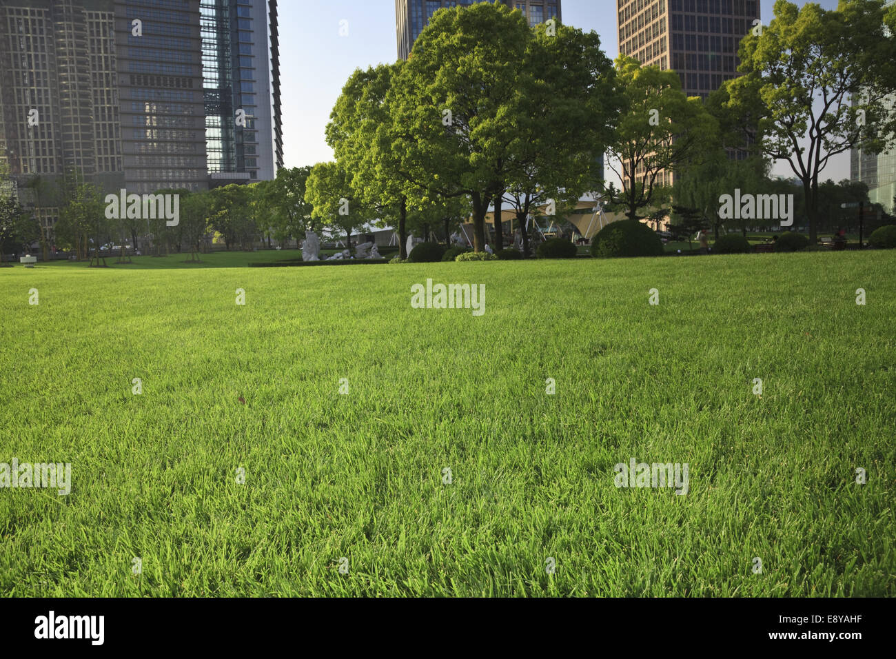 Shanghai architecture trees hi-res stock photography and images - Alamy