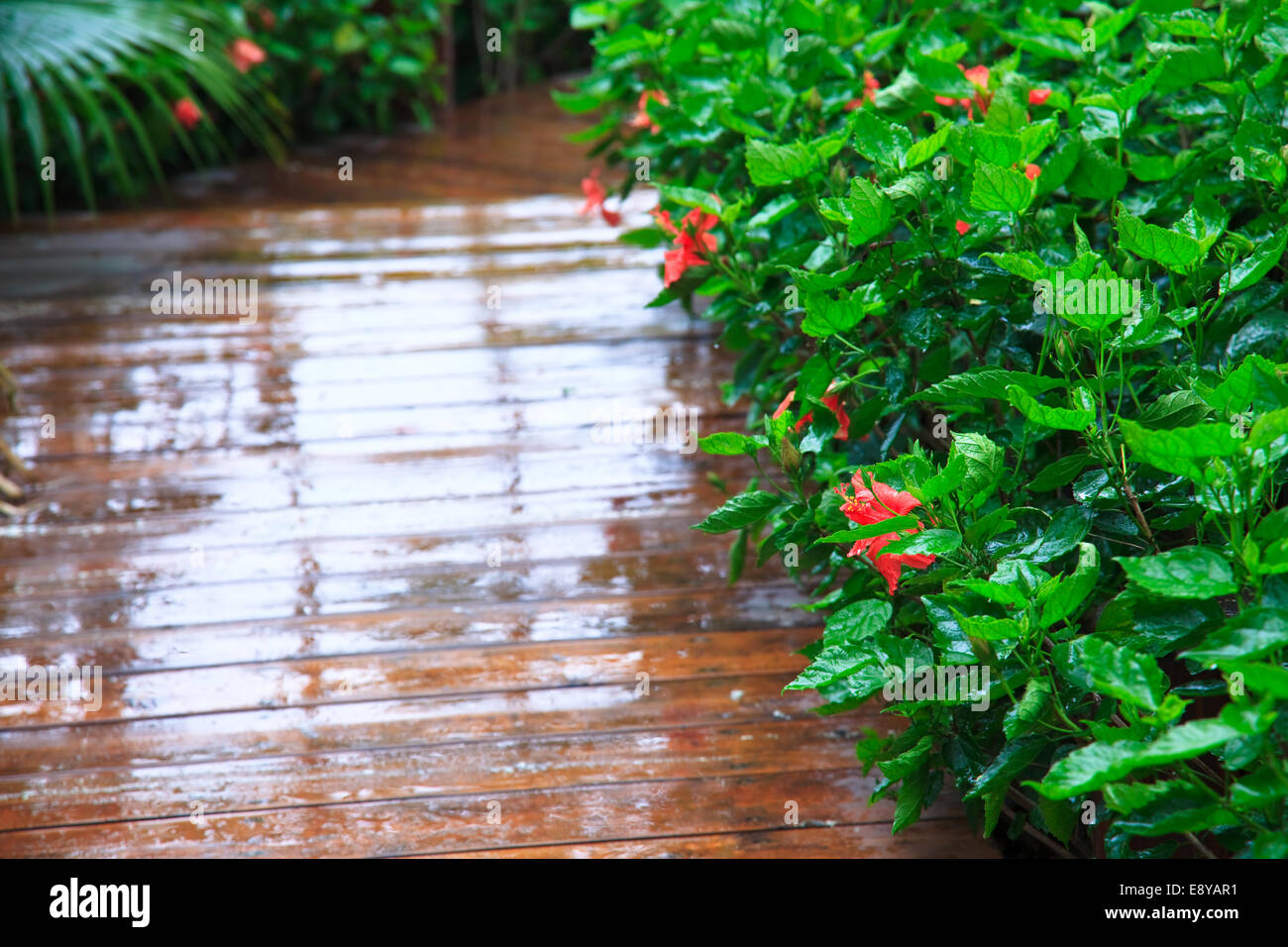 Gr footpath hi-res stock photography and images - Alamy