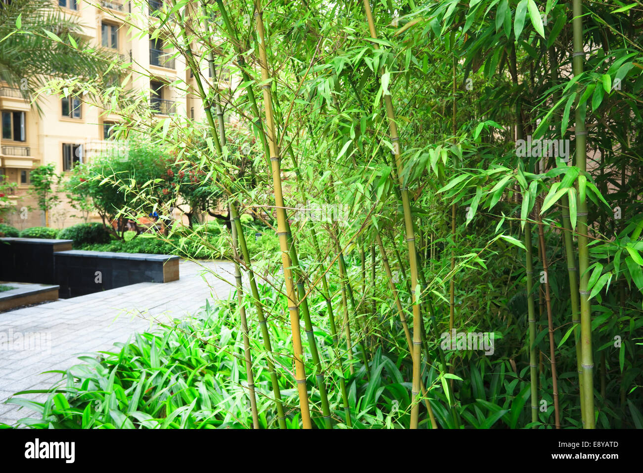 Home and graden hi-res stock photography and images - Alamy