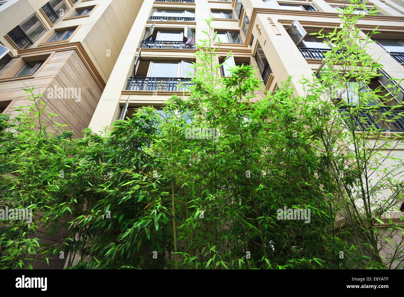 Building plant decoration hi-res stock photography and images - Alamy