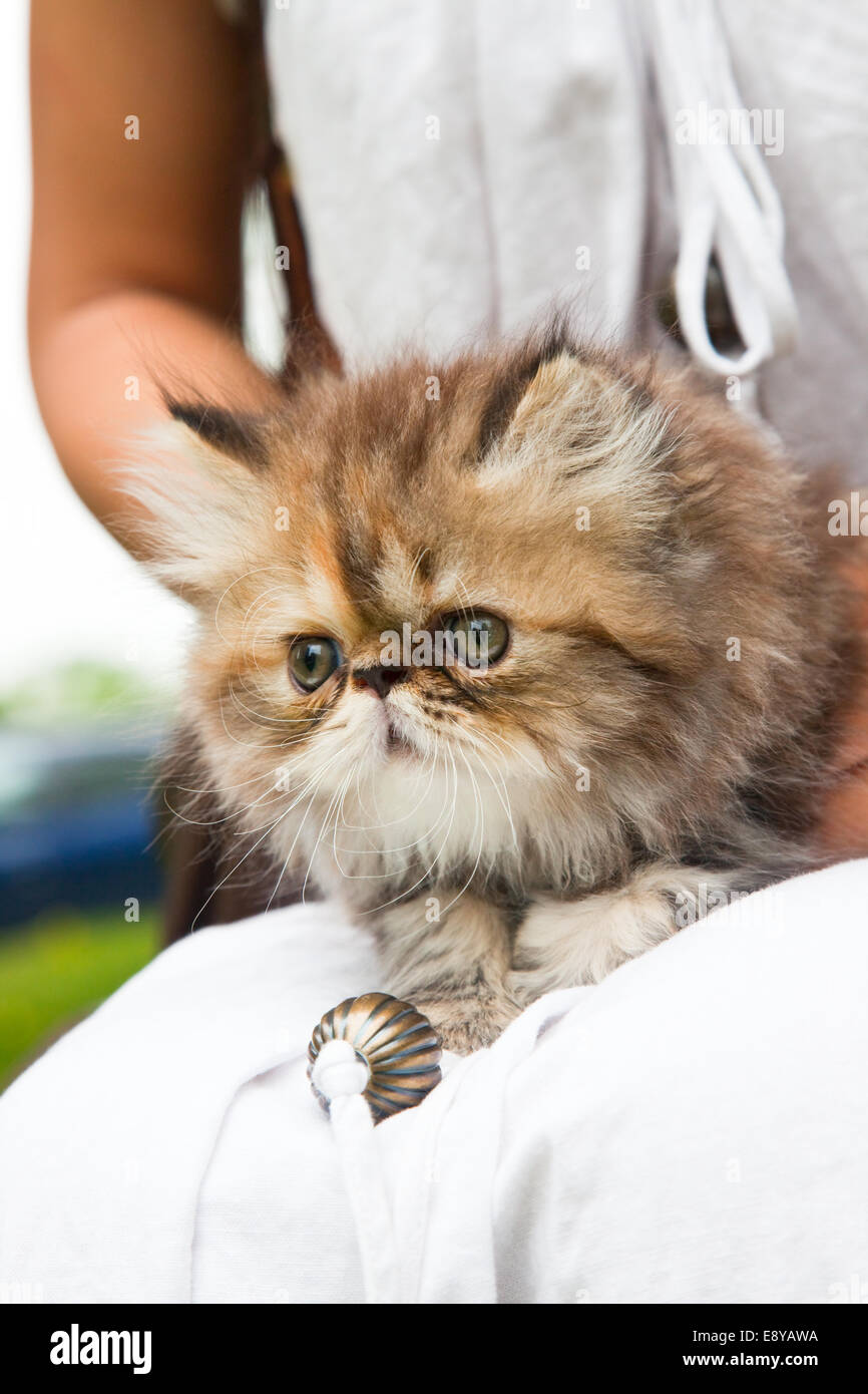 Knuddelig hi-res stock photography and images - Alamy